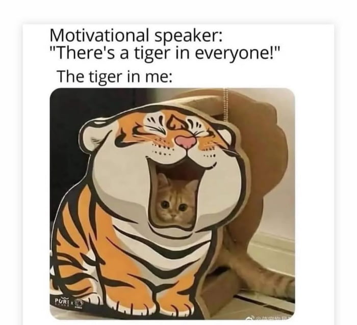 My inner tiger is more of a fluffy house cat - 9GAG