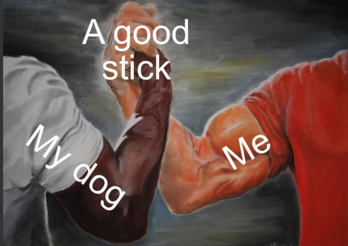 Who doesn’t love a good stick? - 9GAG