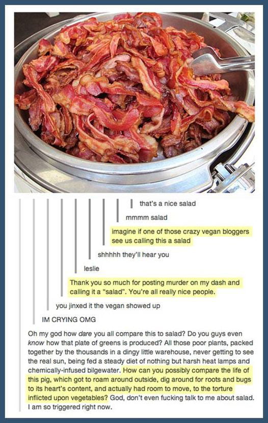 Mmmm Bacon - 9GAG