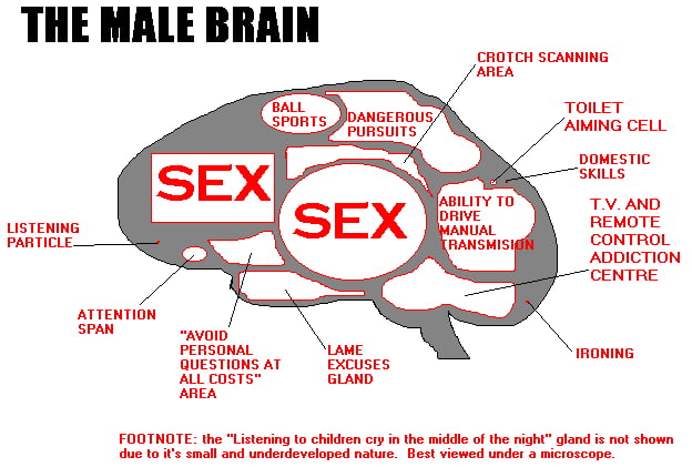 The Male Brain - 9GAG