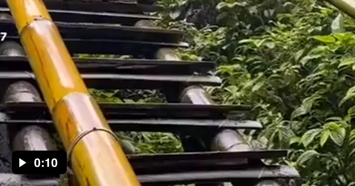 Gravity always wins - 9GAG