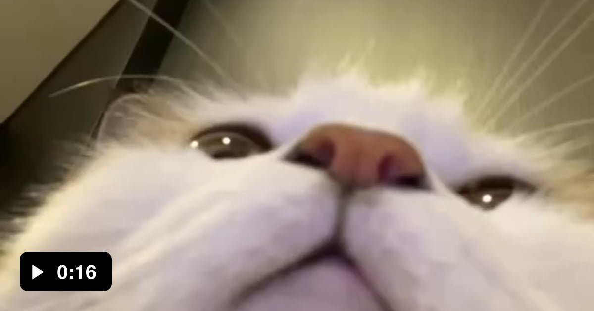 Take some rest - 9GAG