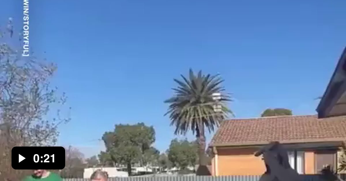 This is the most Australian thing I’ve ever seen - 9GAG