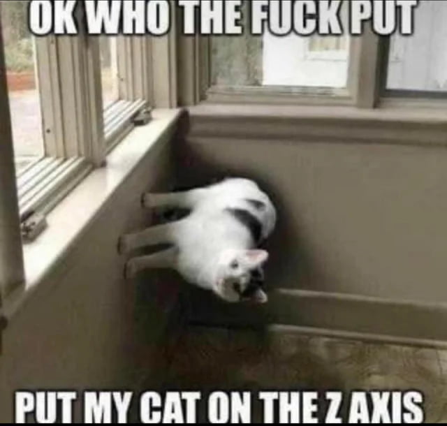 Z axis cat - 9GAG