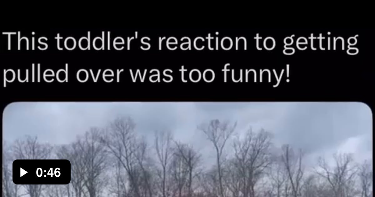 Young Driver Pulled Over. - 9GAG