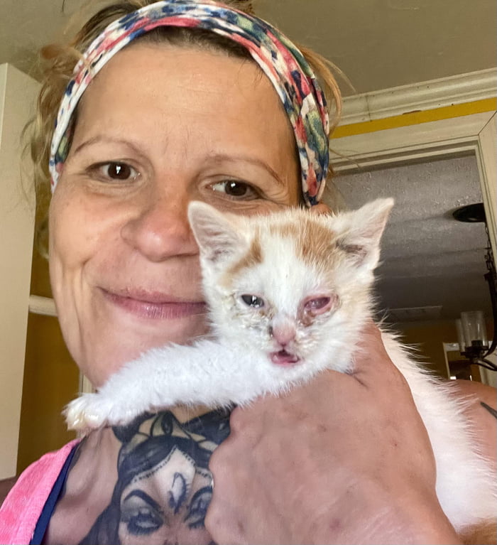 Mei the foster kitten - 9GAG