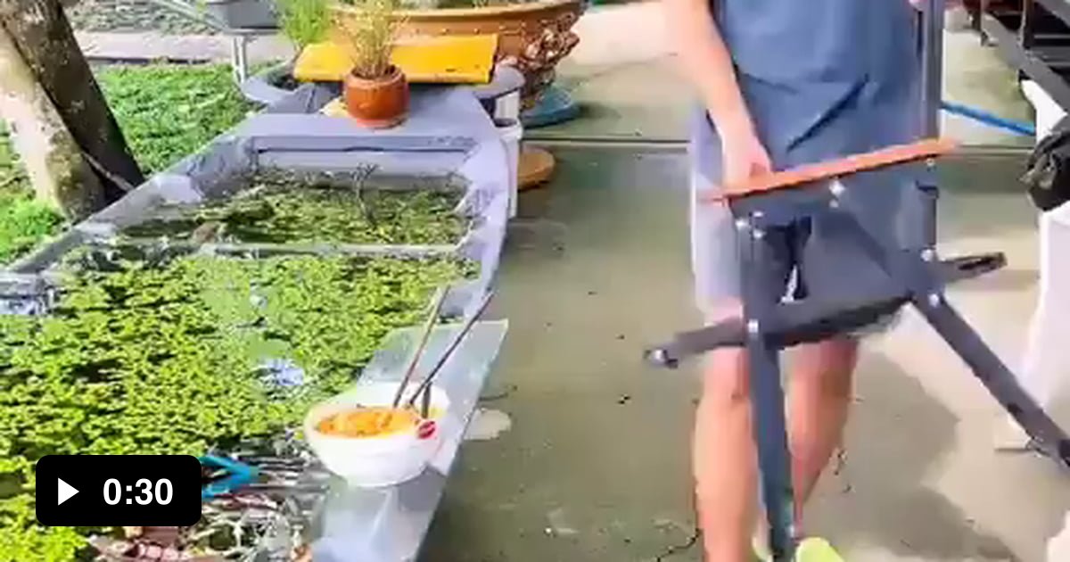 Fisherman toy and fish - 9GAG