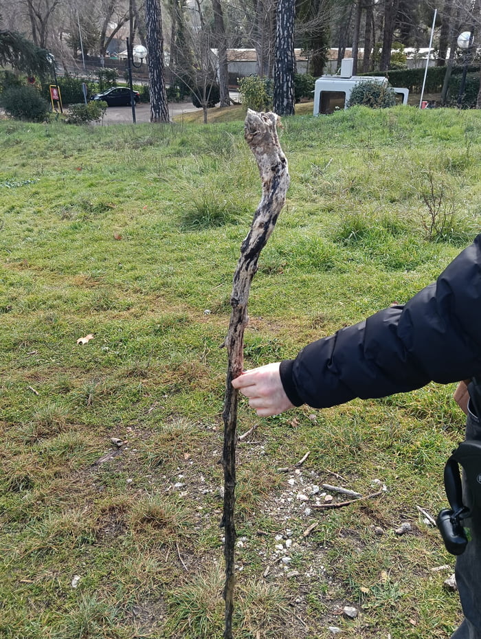 Is stick thing, still a thing? This is my wise staff - 9GAG