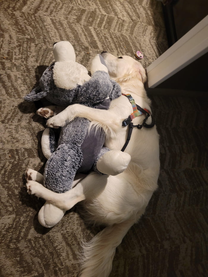 Huge hugging buddy - 9GAG