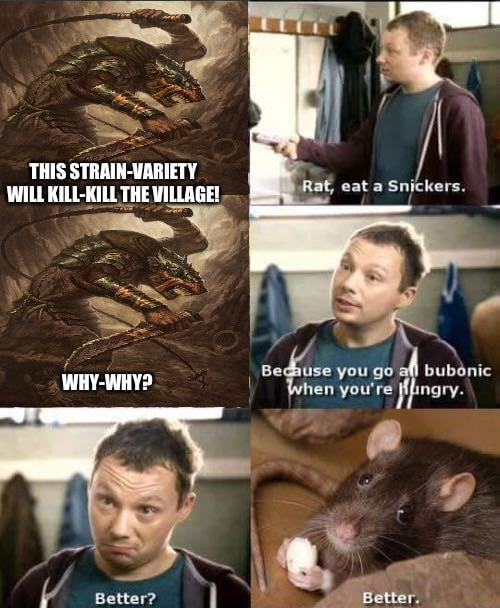 Rat, eat a snickers - 9GAG