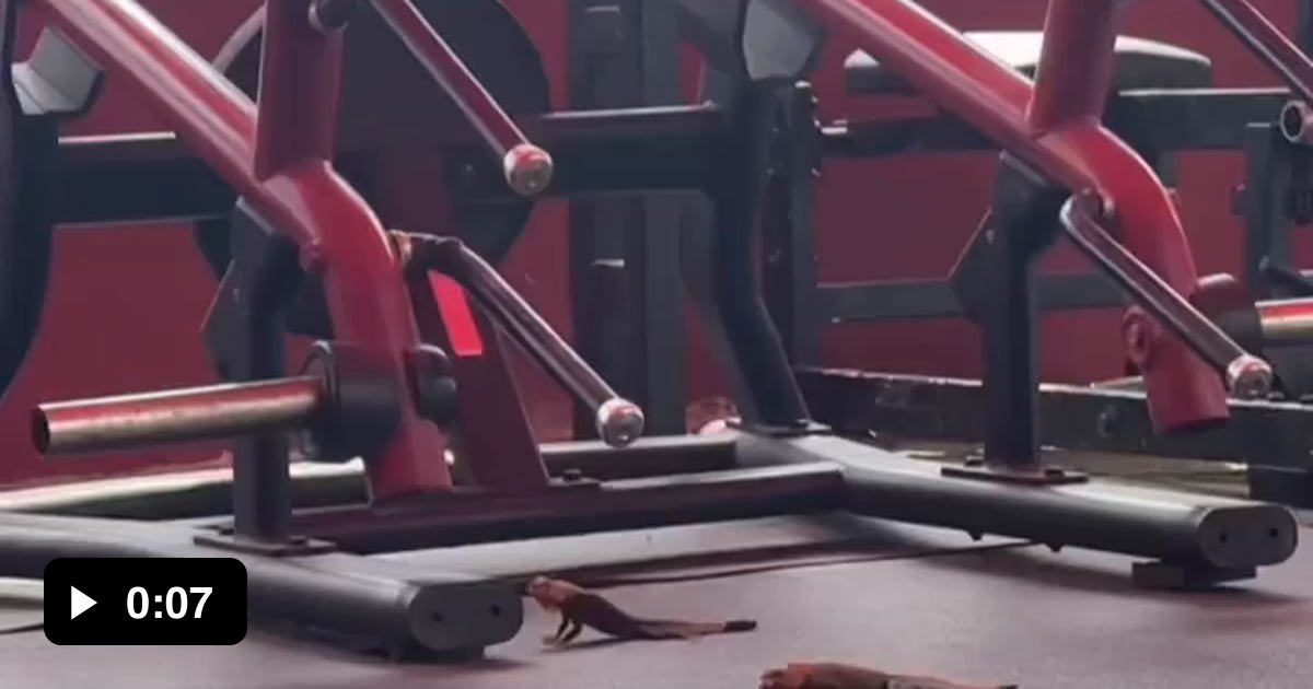 Push ups in the gym - 9GAG