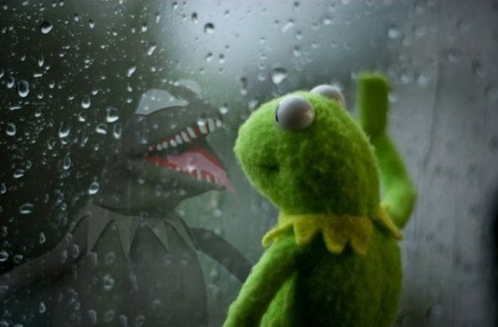 Kermit : Enemy In Reflection - 9GAG