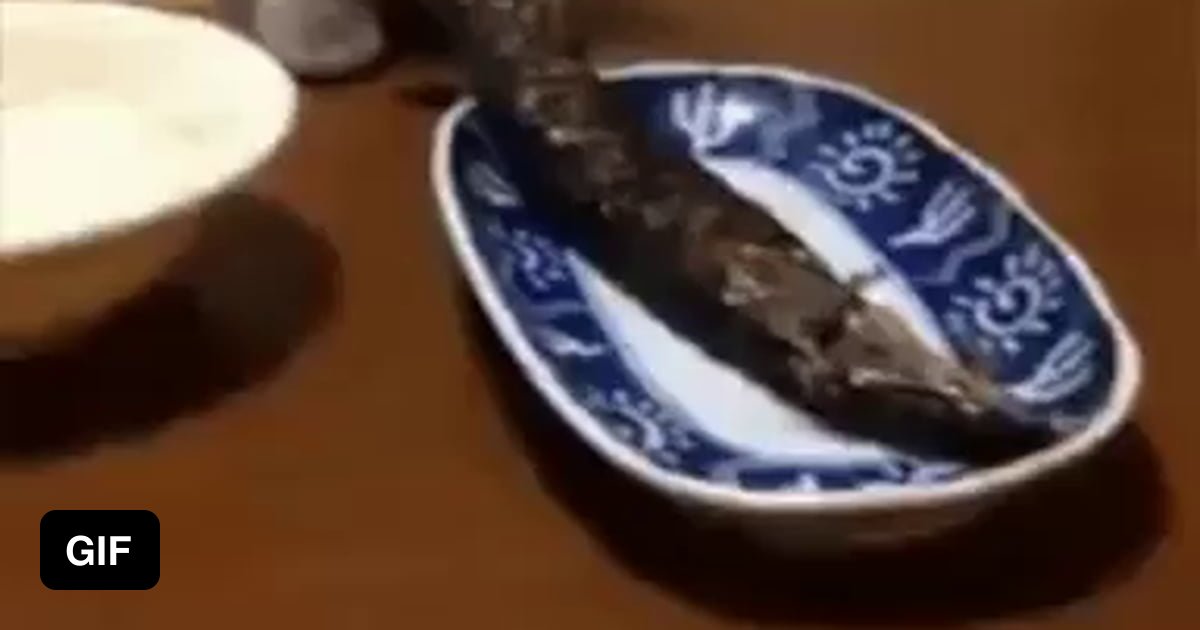 No toucha da fishy - 9GAG