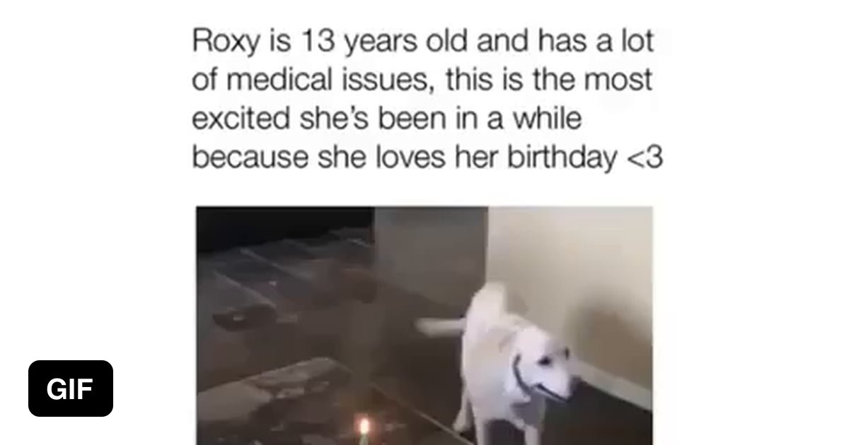 Happy birthday roxy!! - 9GAG
