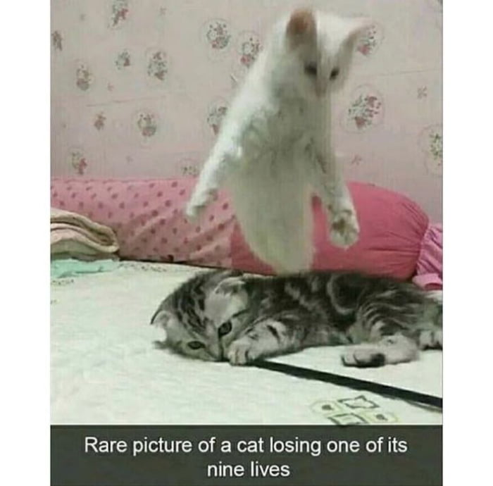 Only 8 left... - 9GAG