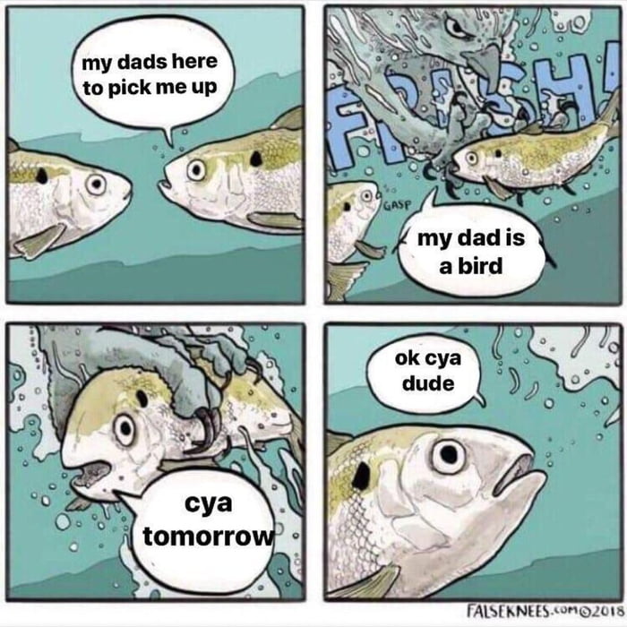 Everyday fish school life - 9GAG