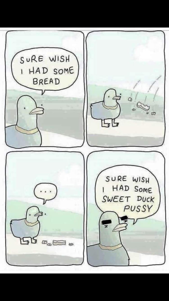 Throw that partridge in a circle - 9GAG