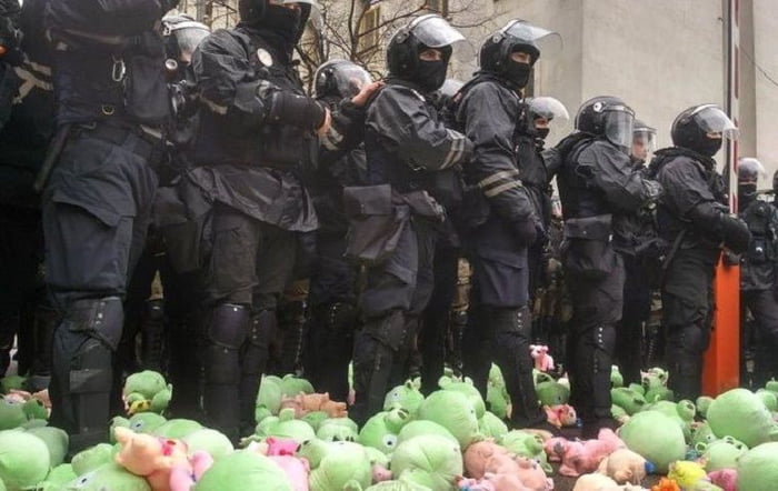 Some one say to ukranians that they must throw birds in pigs, but not ...