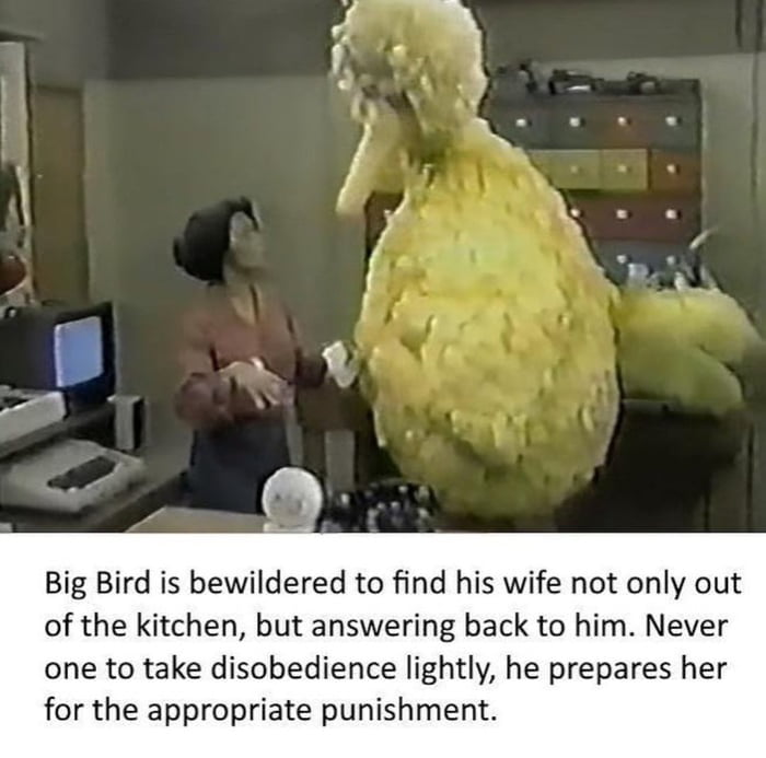 Big Bird Memes ARE still a thing!!! - 9GAG