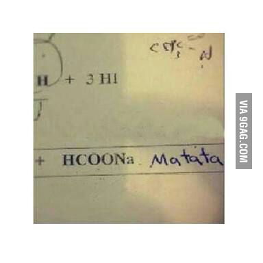 Hcoona matata.... - 9GAG