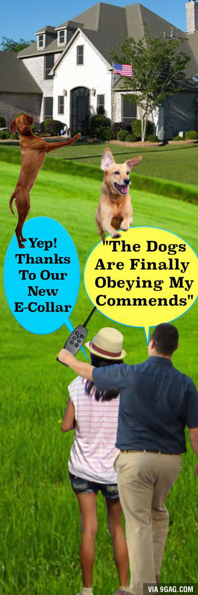 How can one picture contain so much confusion? - 9GAG