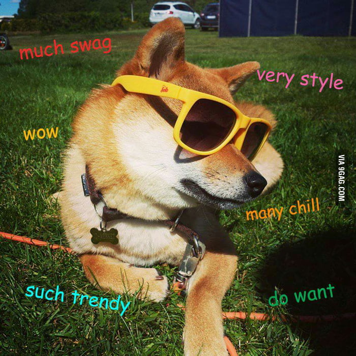 Very cool much swag - 9GAG