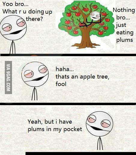 So high bro - 9GAG