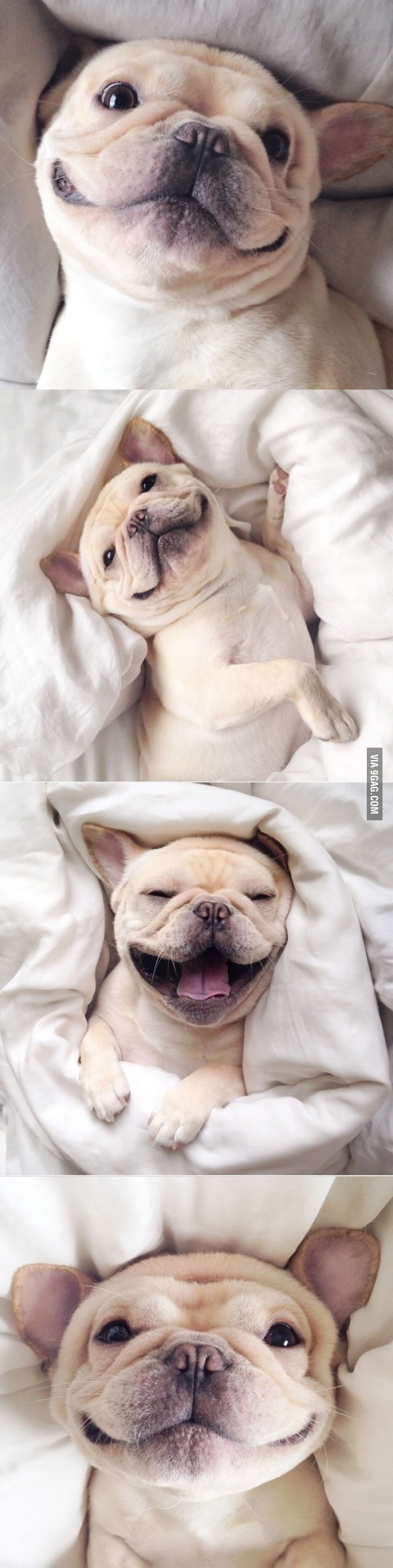 All smiles - 9GAG