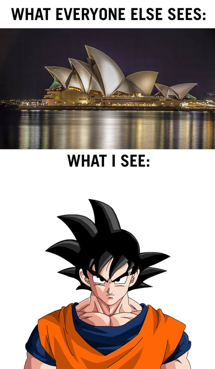 The Sydney Opera House everyone.. - 9GAG
