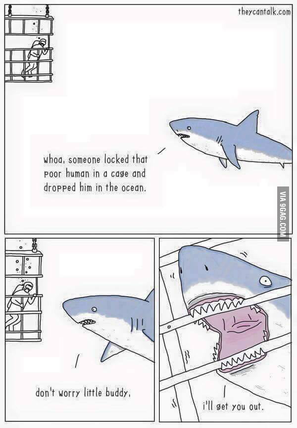 Poor shark misunderstood by HOOMANS - 9GAG