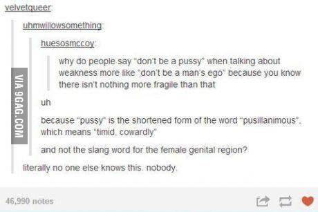 F k Her Right In The Pusillanimous 9GAG F k Her Right In The Pusillanimous 9GAG