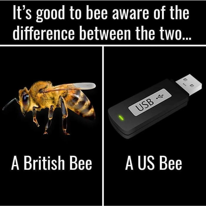 A US BEE. - 9GAG