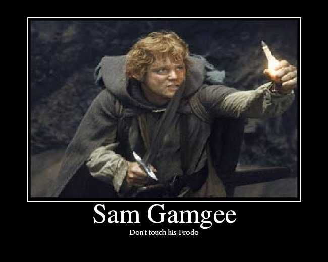 Everyone needs a friend like samwise gamgee. Where is my sam? - 9GAG