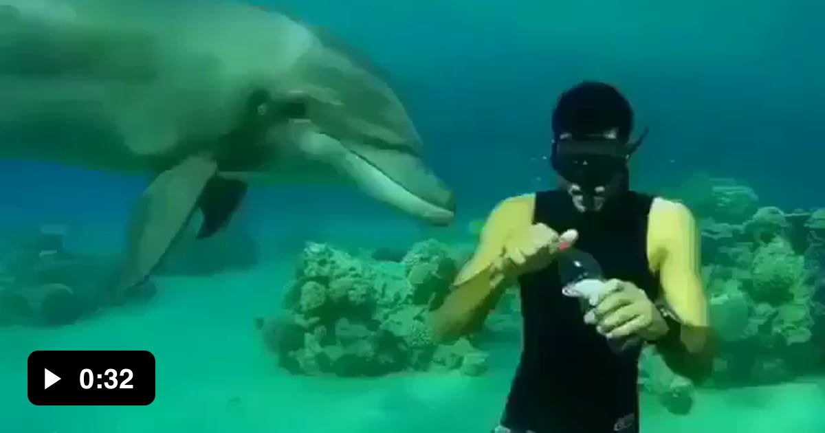 Just chilling with my fish - 9GAG