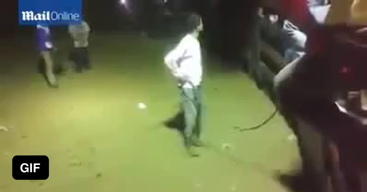 Mooooooooooooo!! who is there? Did anyone knock? - 9GAG