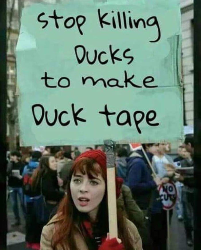 Save the ducks! - 9GAG