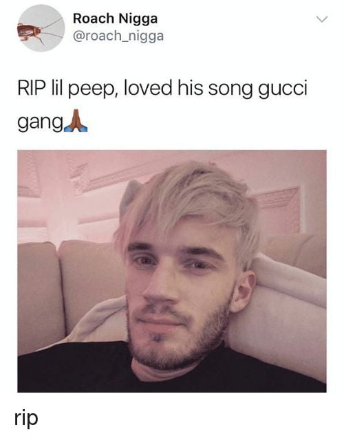 RIP PEEP - 9GAG