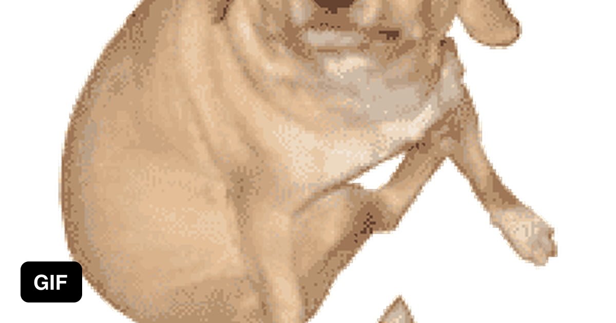 Spinning_dog.gif - 9GAG