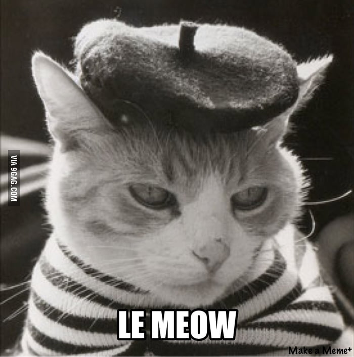 When my French cat gets my jokes. - 9GAG