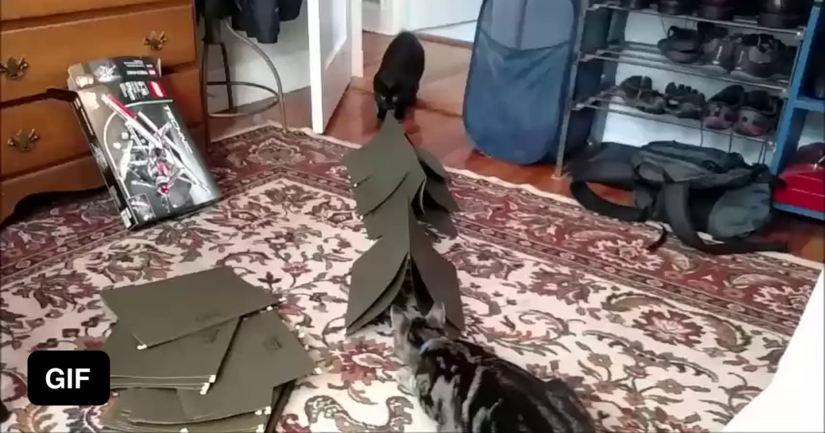 I thought I would get rid of some old file folders... - 9GAG