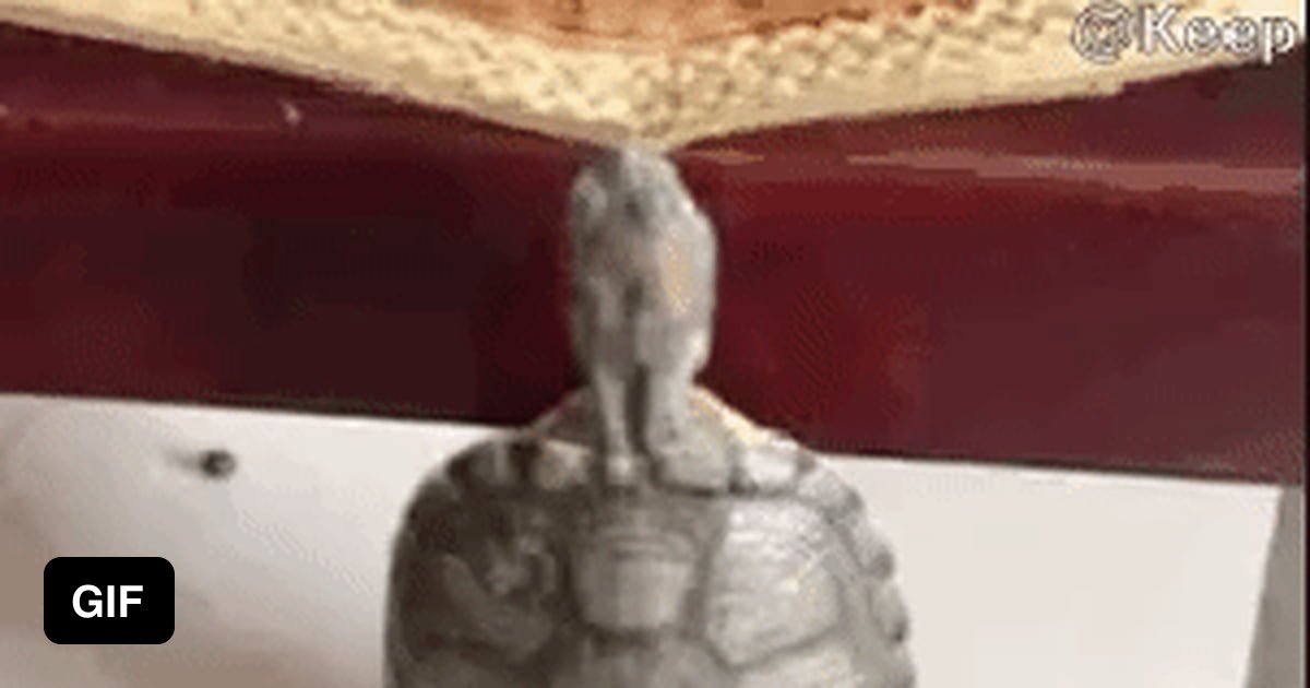 Do you even pull-up bro ? - 9GAG