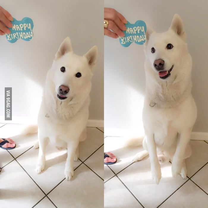 This guy hit double digits today and couldn't be more excited! - 9GAG