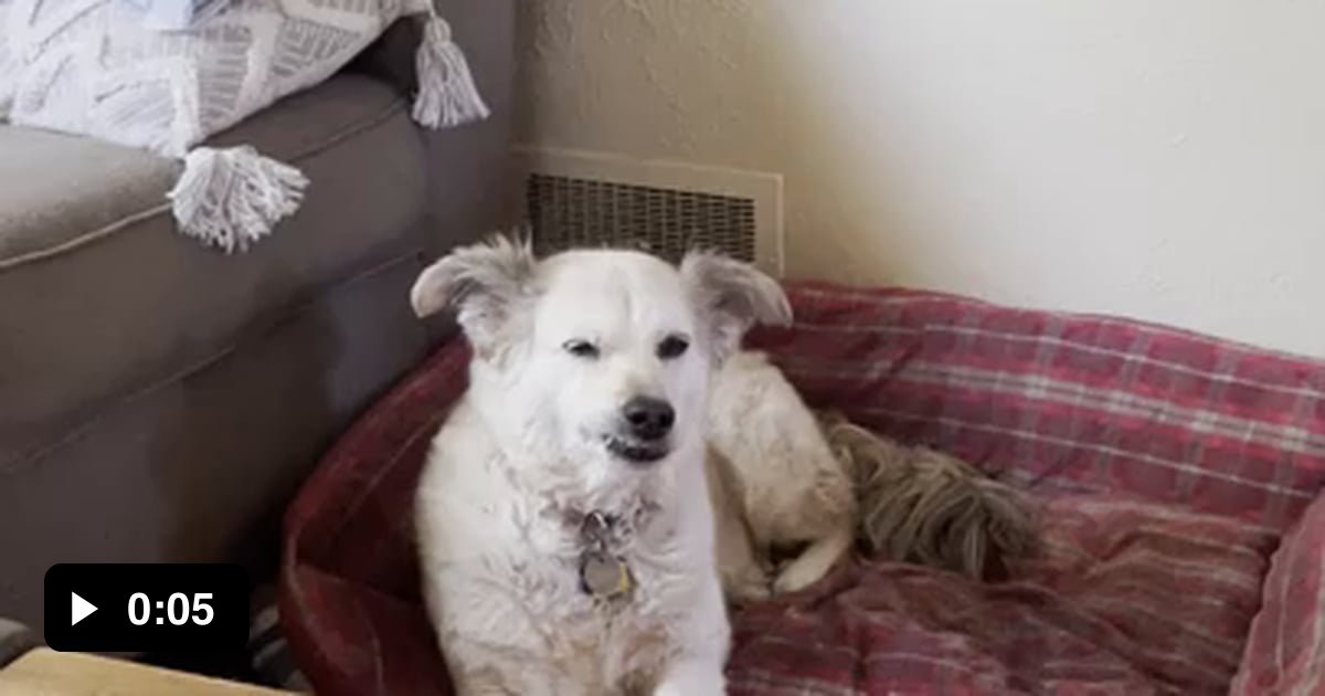 Post nap squeesh face - 9GAG