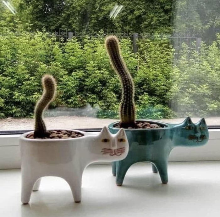 Probably the most innovative flower pot design I’ve ever seen ...