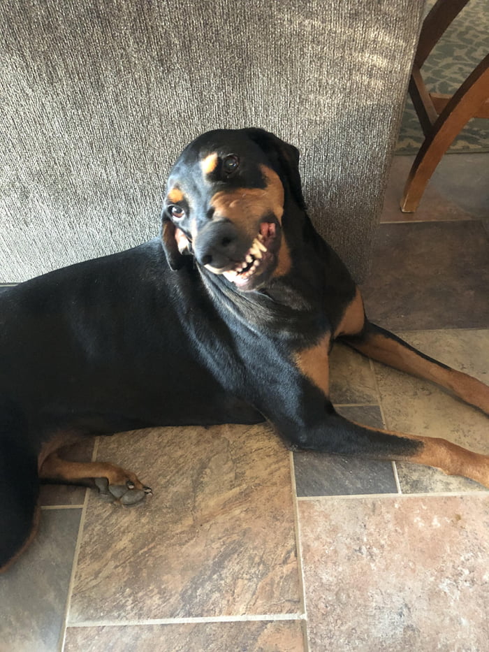 Lil smiley face - 9GAG