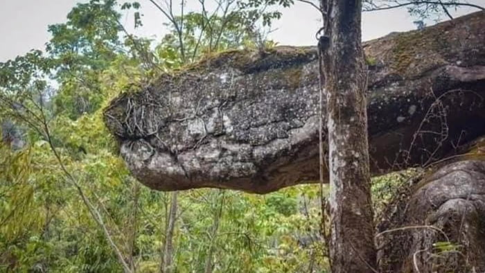 The legends of snake stone,Naka cave, Thailand - 9GAG