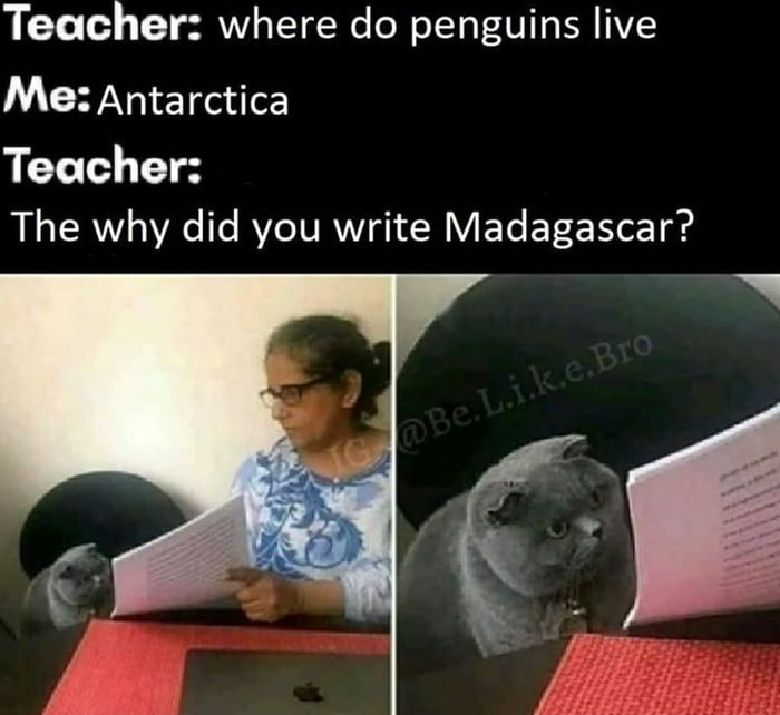 Penguins of Madagascar - 9GAG