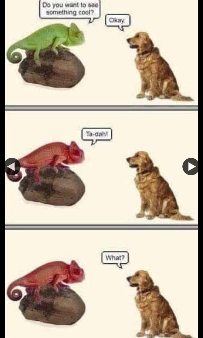 I got it - 9GAG