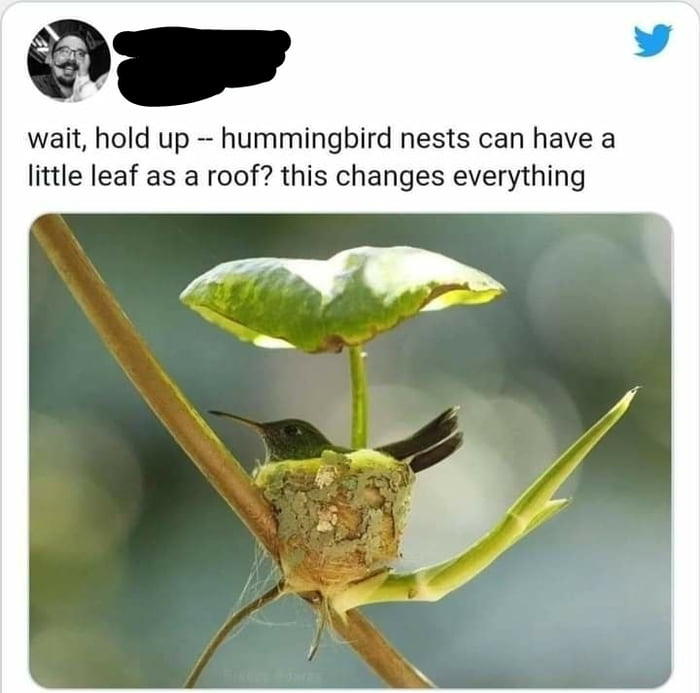 That lil house is sooo cute! - 9GAG