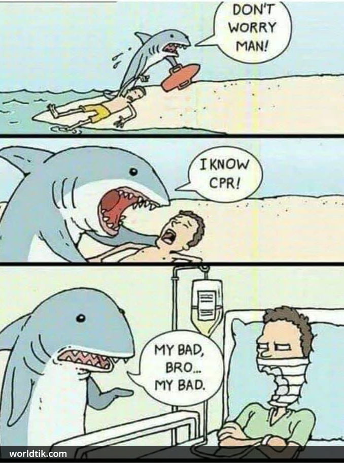 My Bad Bro 9gag